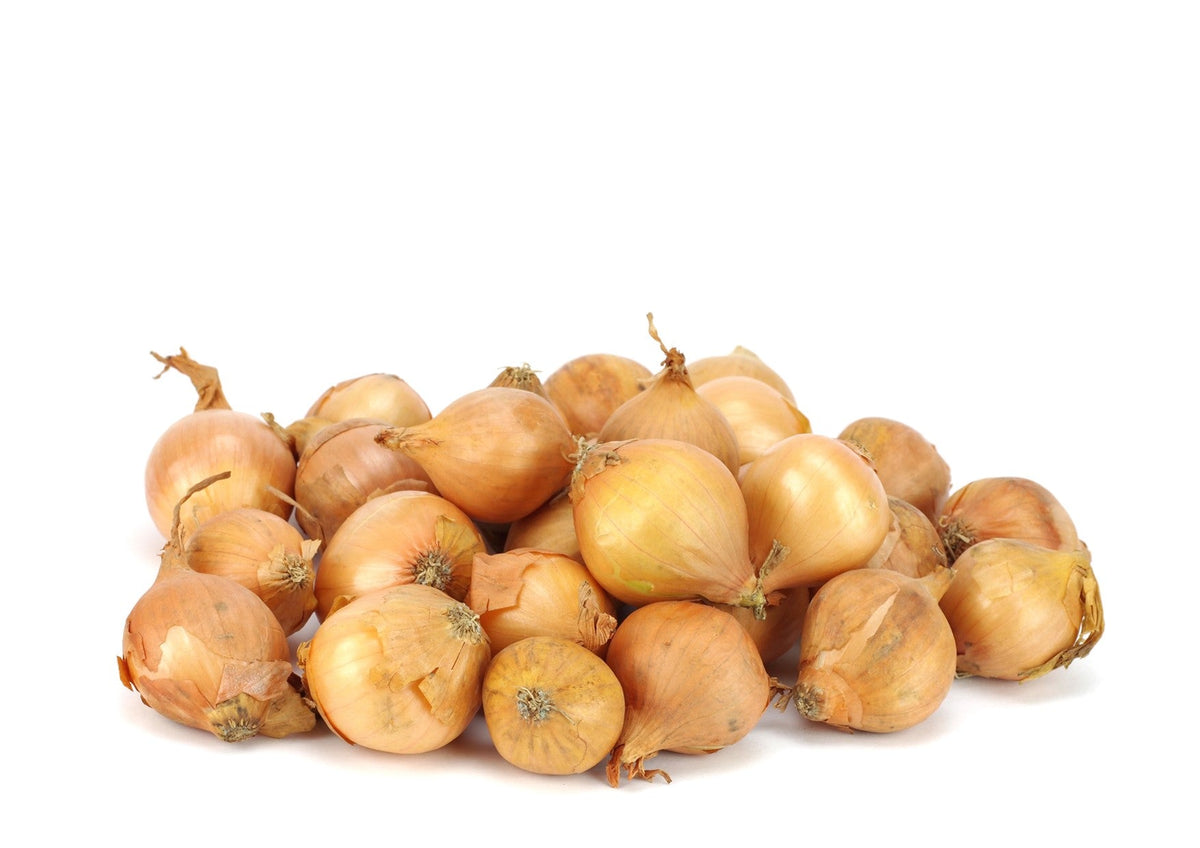 Onions Button (Baby) – Wellington Fresh