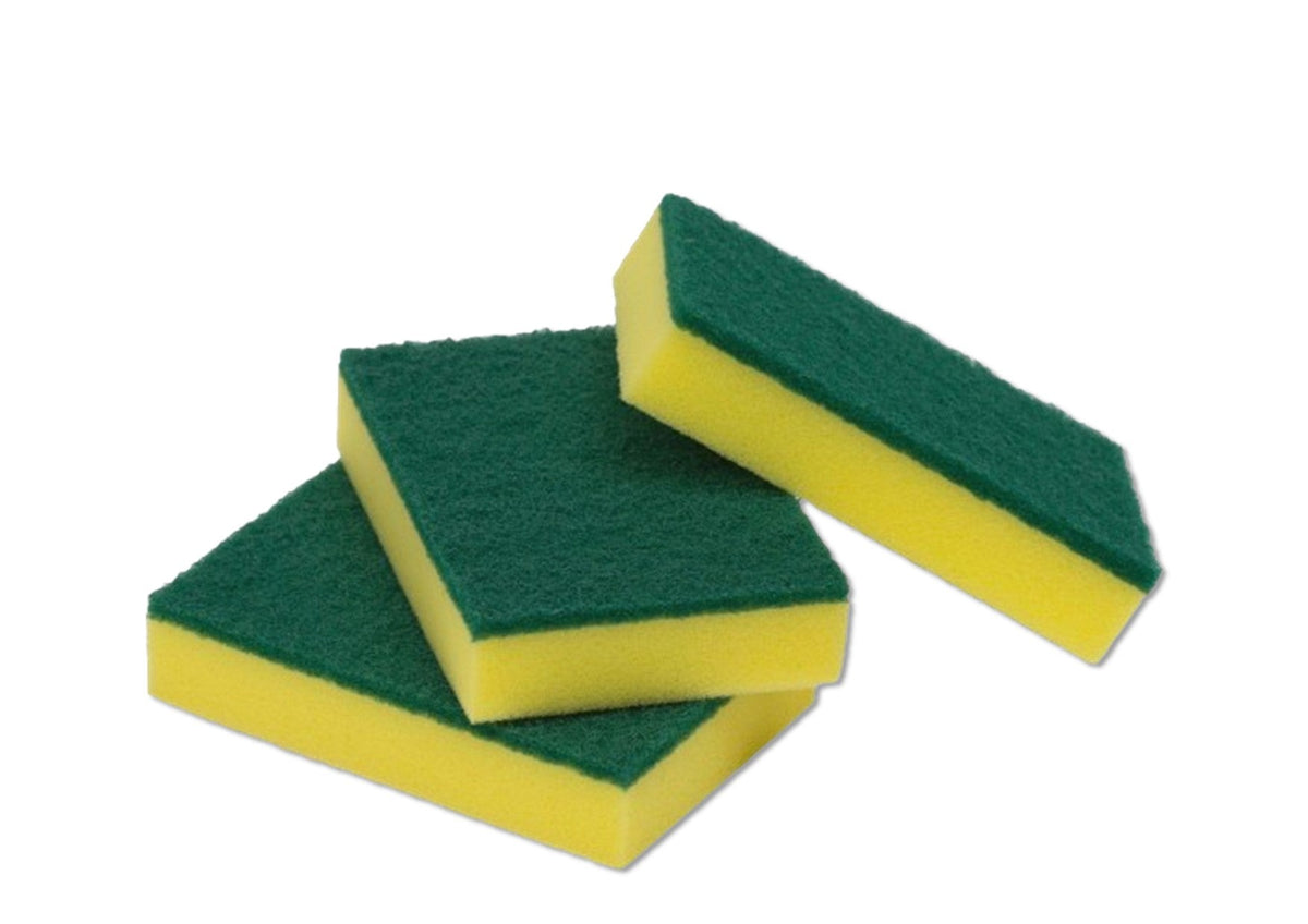 Standard Sponge Scourers (Pack of 10) – Wellington Fresh