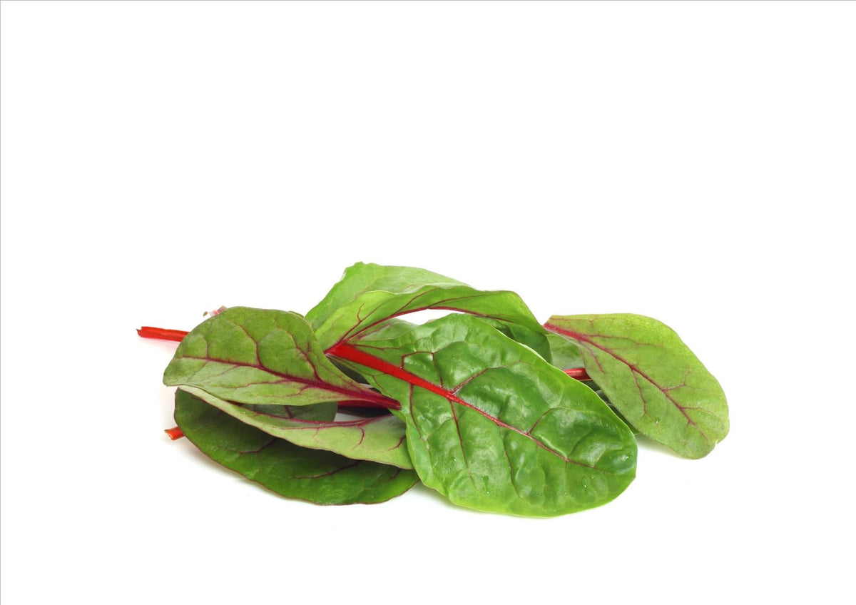 Baby Red Chard (Catering Pack 500g) – Wellington Fresh