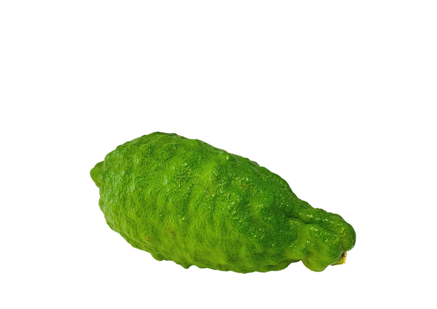 Lemon Bangladeshi/Jara (Each) – Wellington Fresh