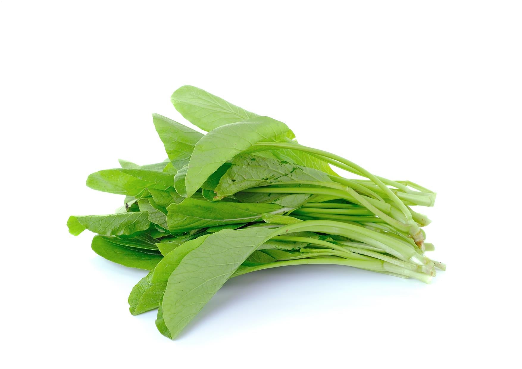 Choi Sum – Wellington Fresh