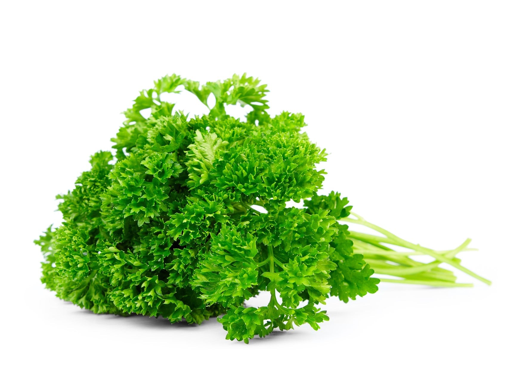 Parsley Curly (100g) – Wellington Fresh