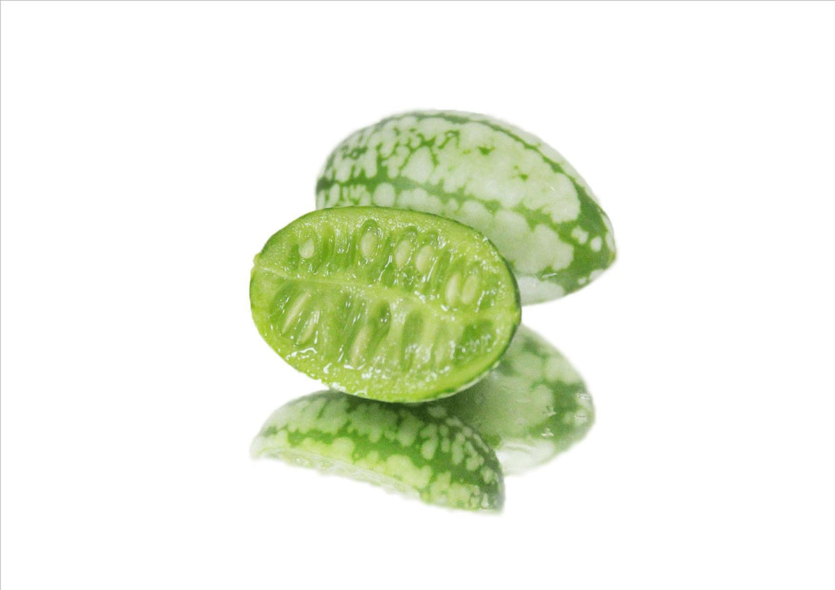 Micro Melons (Pnt 30G) – Wellington Fresh
