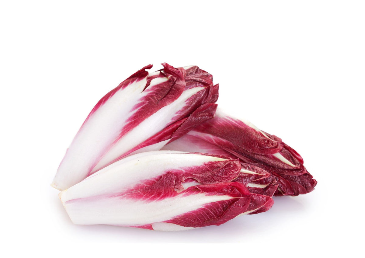 Chicory Red – Wellington Fresh