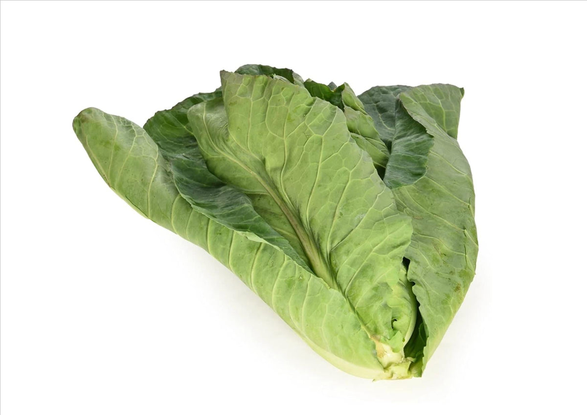 Spring Green Cabbage (500g) – Wellington Fresh